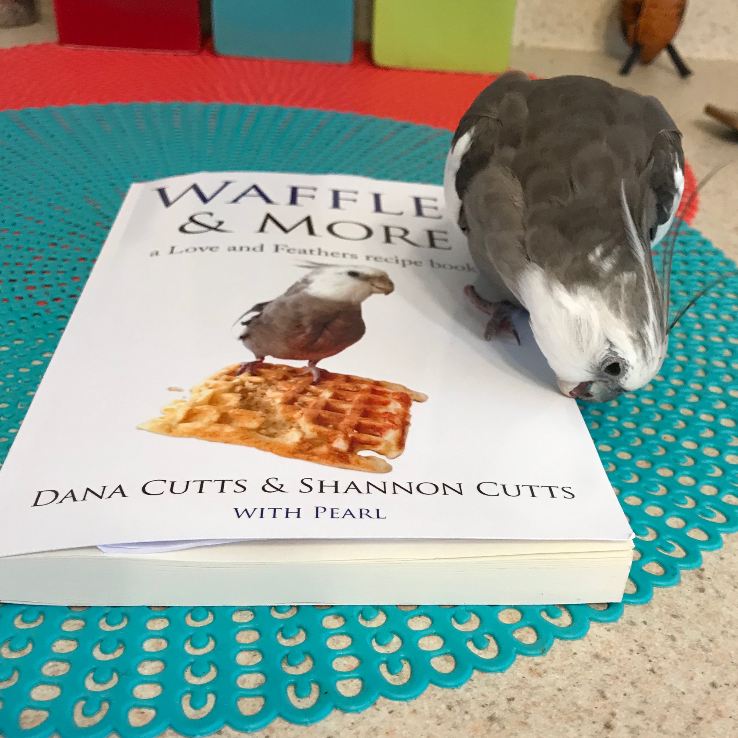 Reading – Shannon Cutts